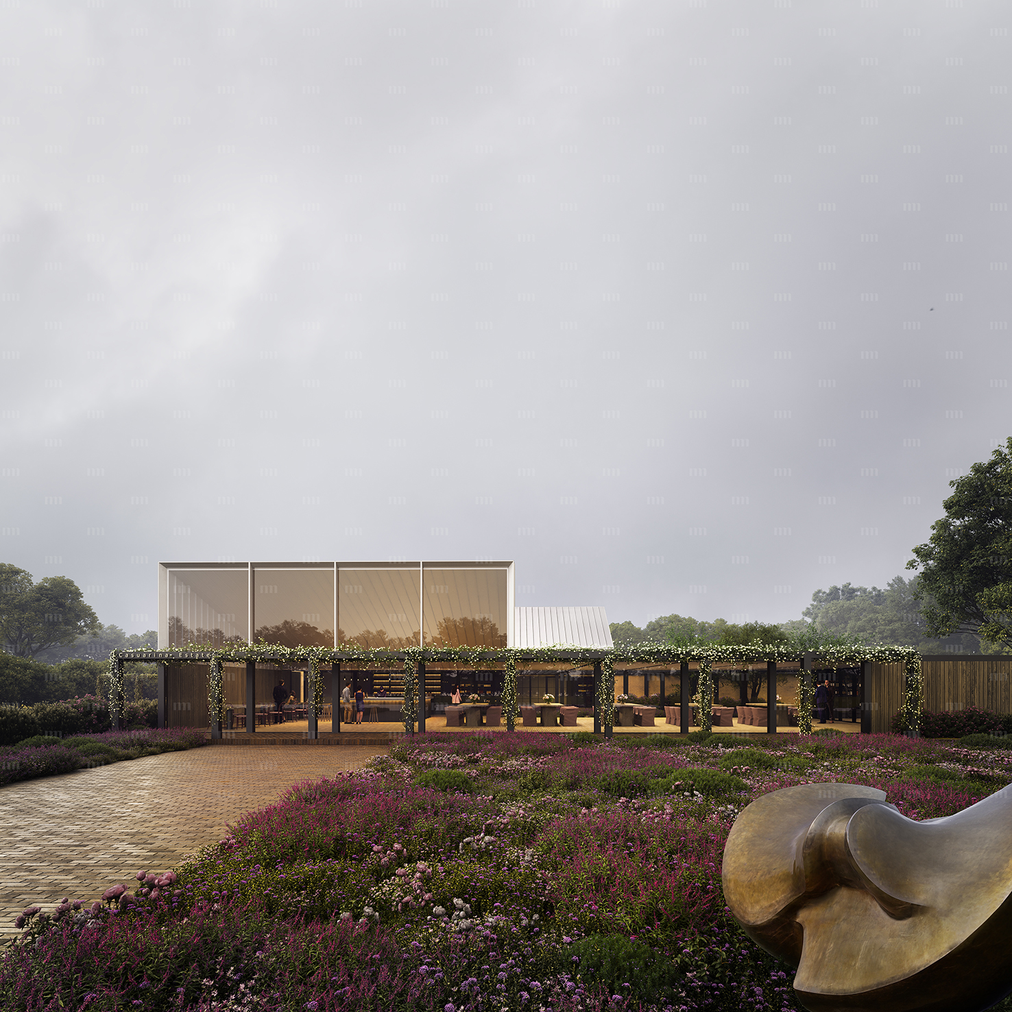 Casuarina - MHN Design Union